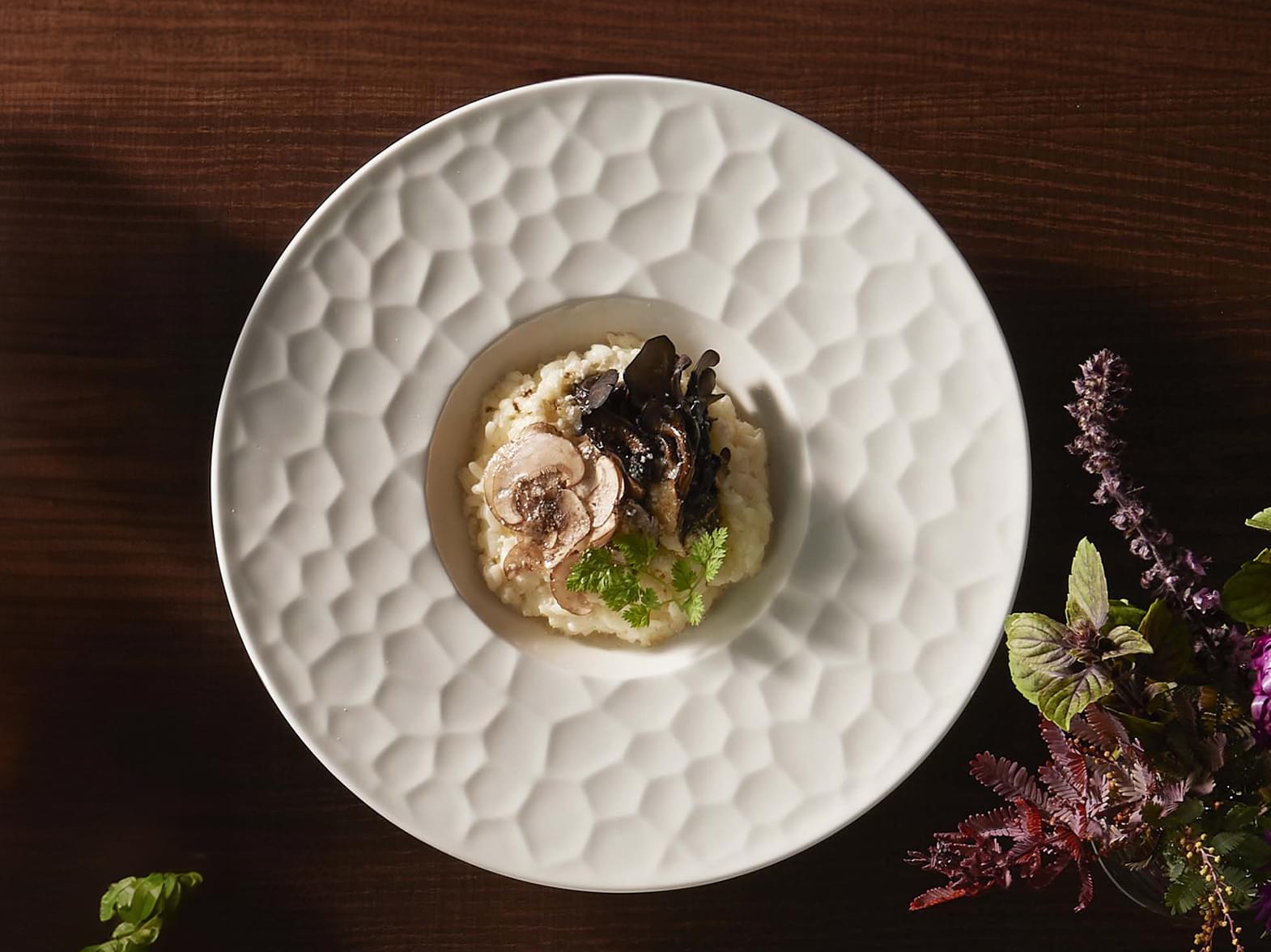 HoReCa｜Noritake Tableware Official Brand Website